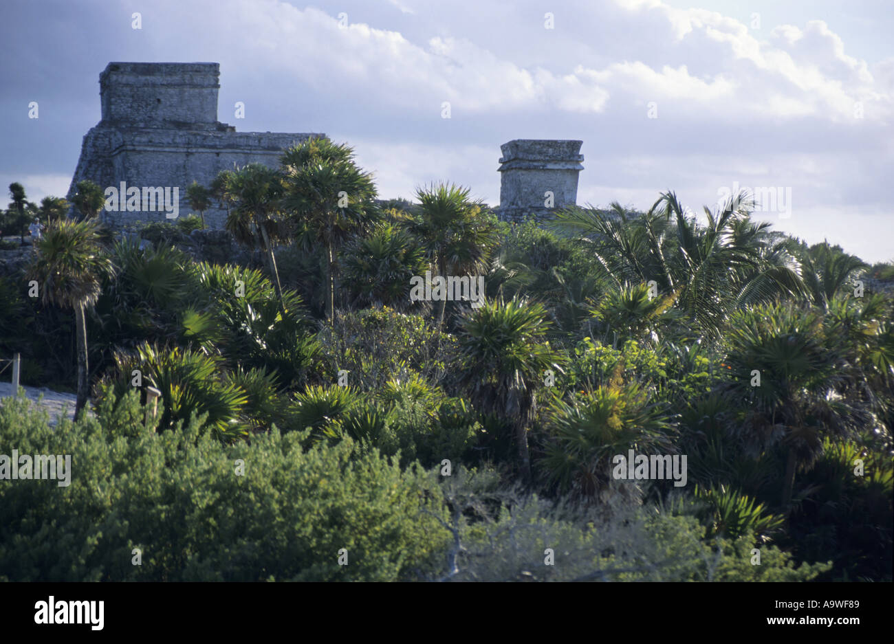 Mexico Yucatan State Tulum El Castillo Pyramid And Palm Trees Stock ...