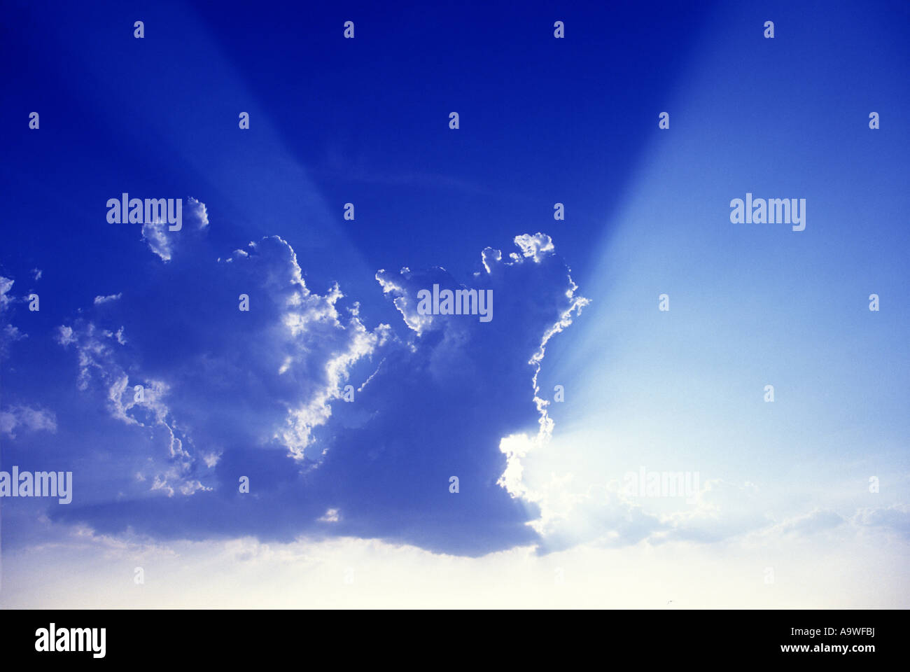 SUN RAYS SHAFTS OF LIGHT Stock Photo - Alamy