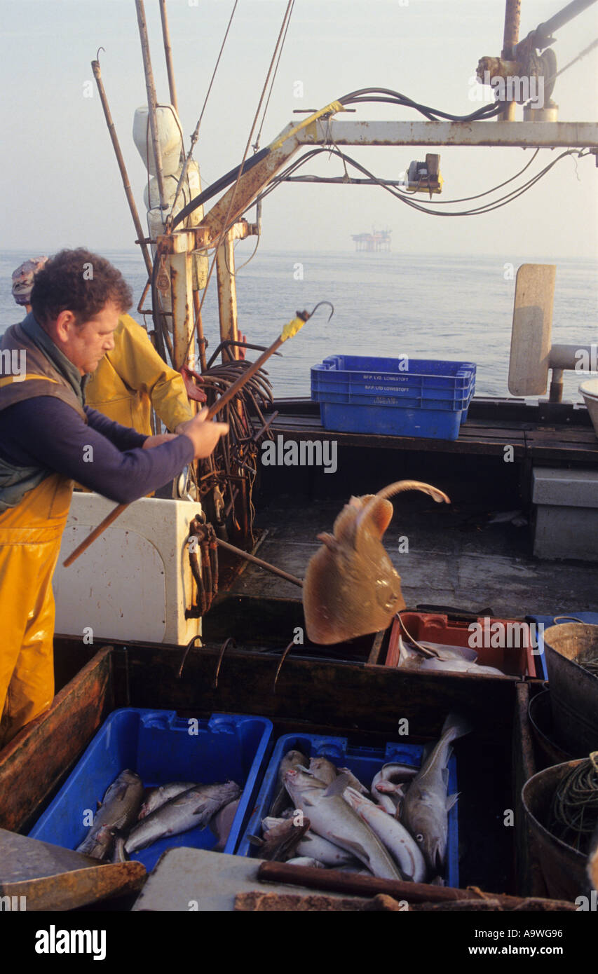 North Sea fishing offshore from Lowestoft, Suffolk, UK Stock Photo - Alamy