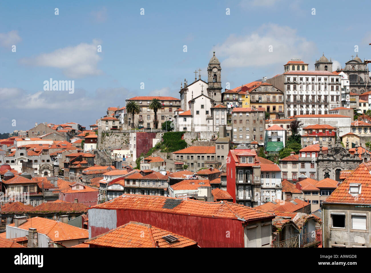 View over Porto Portugal with the Torre dos Clérigo in the background ...