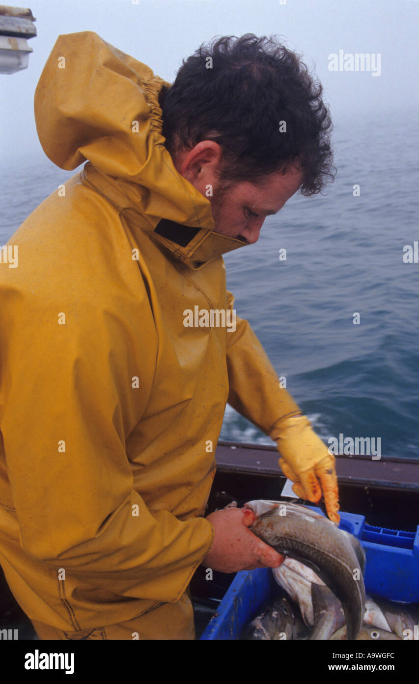 Lowestoft fishing boat hi-res stock photography and images - Alamy