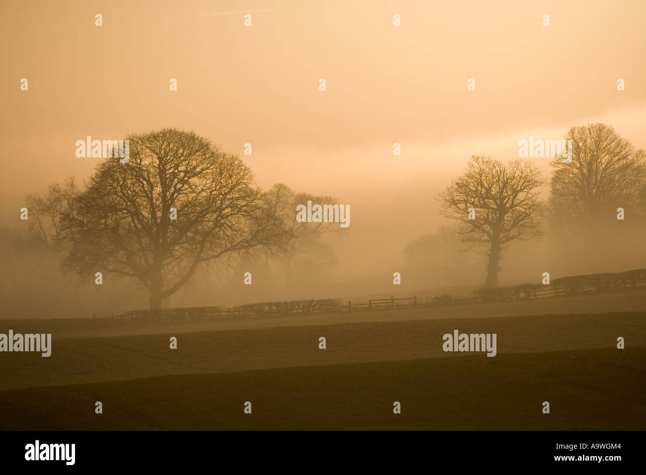 Sun rise in the Yorkshire dales Stock Photo - Alamy