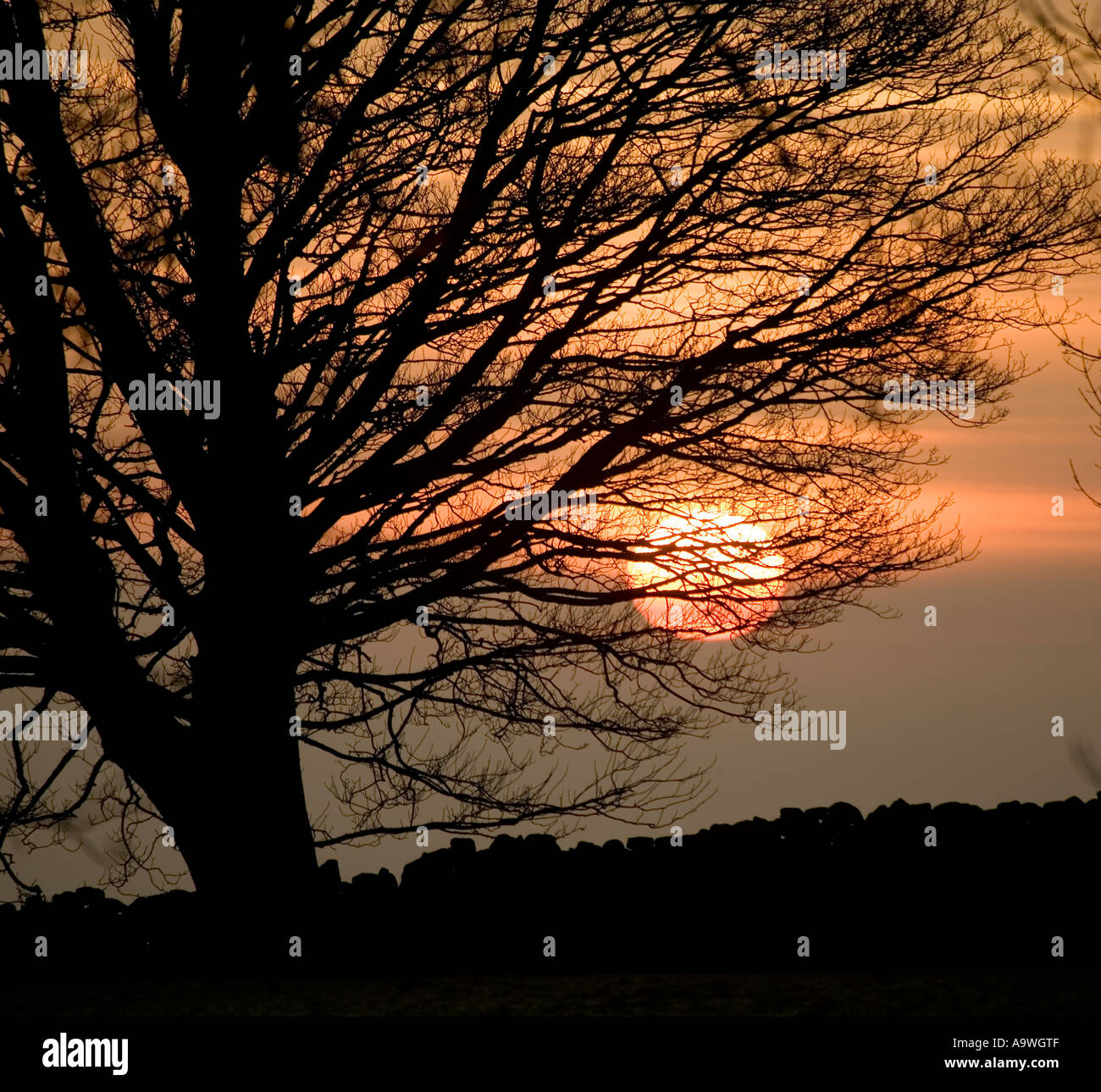 Sun rise in the Yorkshire dales Stock Photo - Alamy