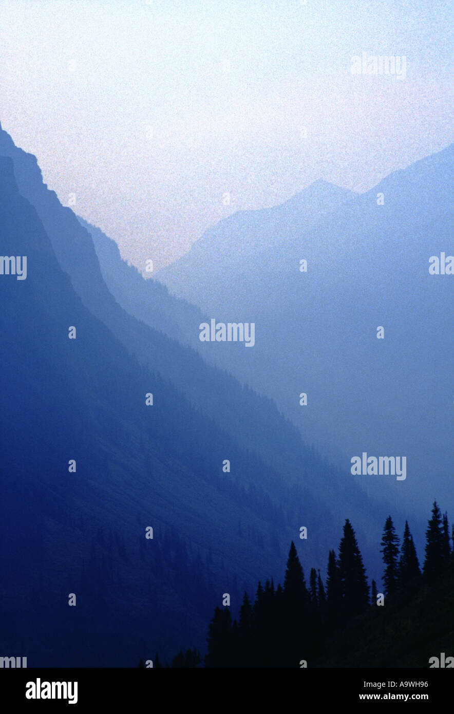 Trees and mountains in Glacier National Park Montana Stock Photo - Alamy