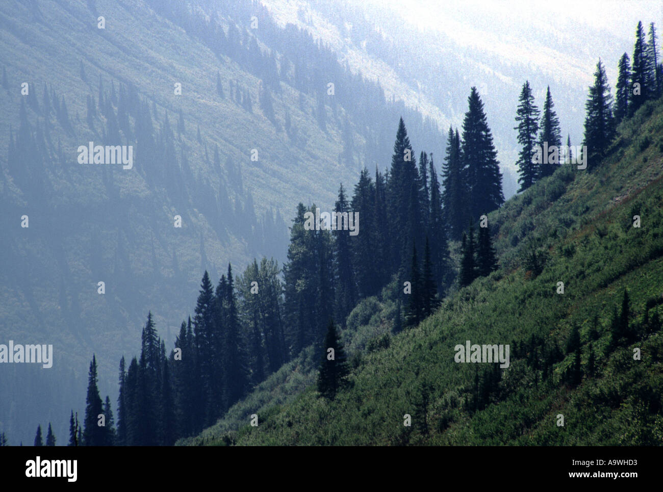 Gnp glacier national park landscape hi-res stock photography and images ...