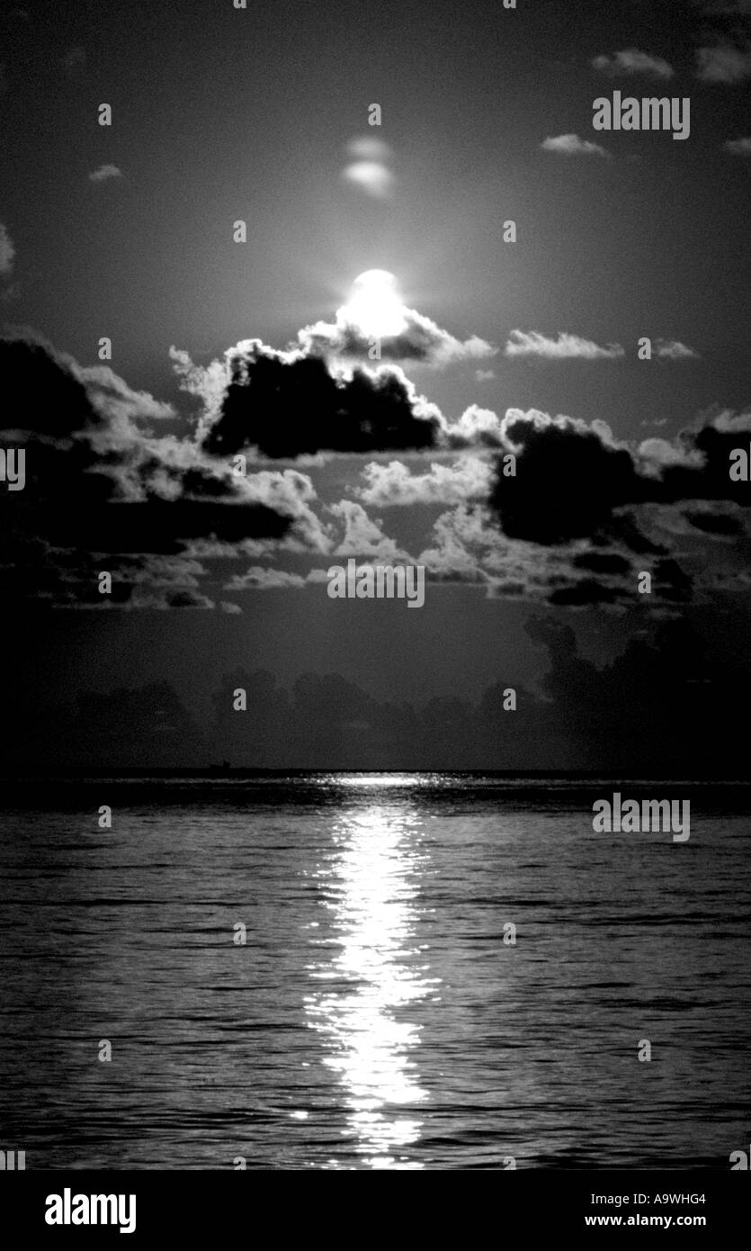 Miami beach night Black and White Stock Photos & Images - Alamy