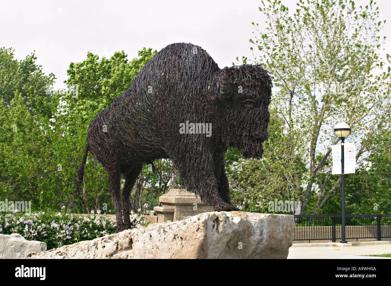 INDIANA Indianapolis Bison sculpture in White River State Park Stock ...
