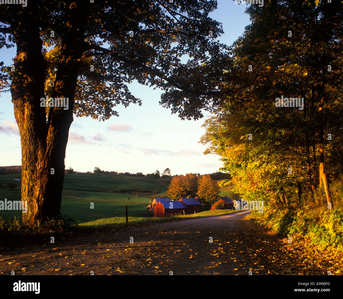 SCENIC ROAD AND FALL FOLIAGE JENNE FARM READING VERMONT USA Stock Photo ...