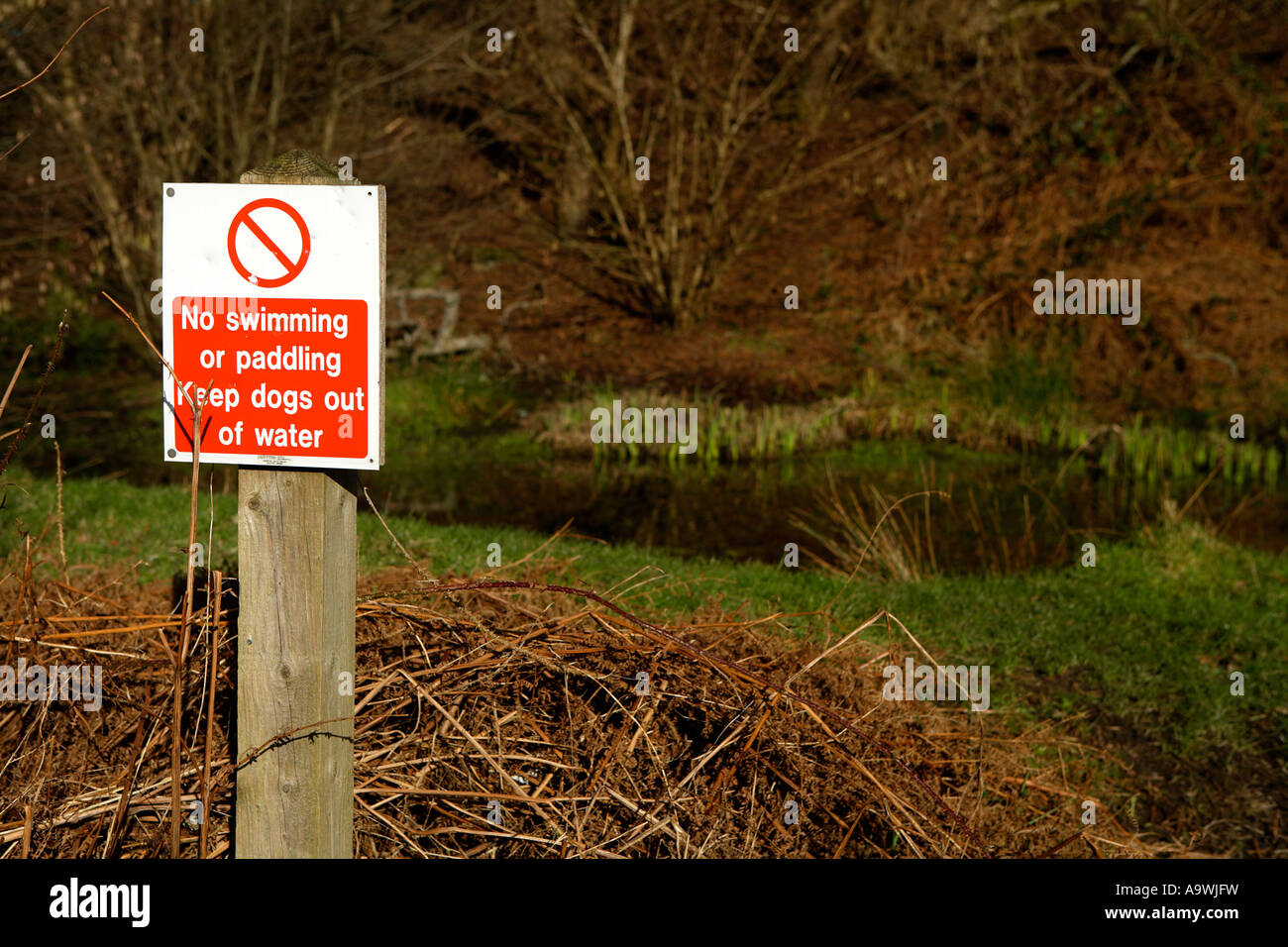 Cwm Darren Park, Bargoed, South Wales Stock Photo - Alamy