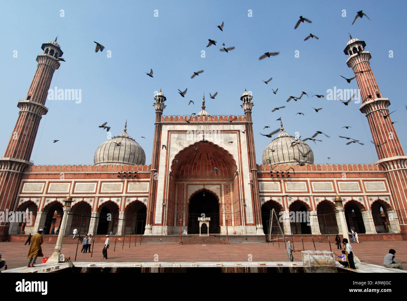 Inside Jami Masjid The main mosque of Delhi India Stock Photo - Alamy