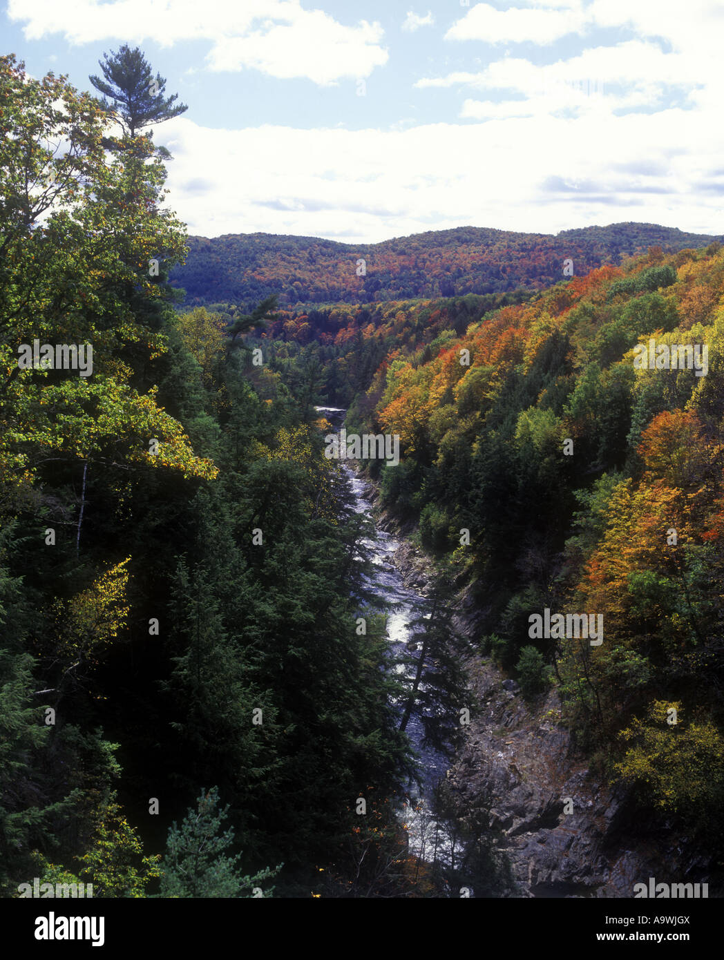 SCENIC FALL FOLIAGE QUECHEE GORGE VERMONT USA Stock Photo - Alamy