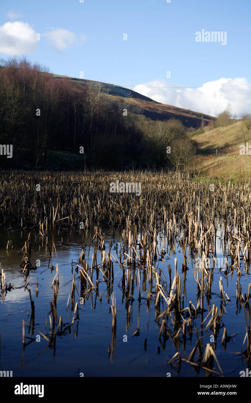 Cwm Darren Park, Bargoed, South Wales Stock Photo - Alamy