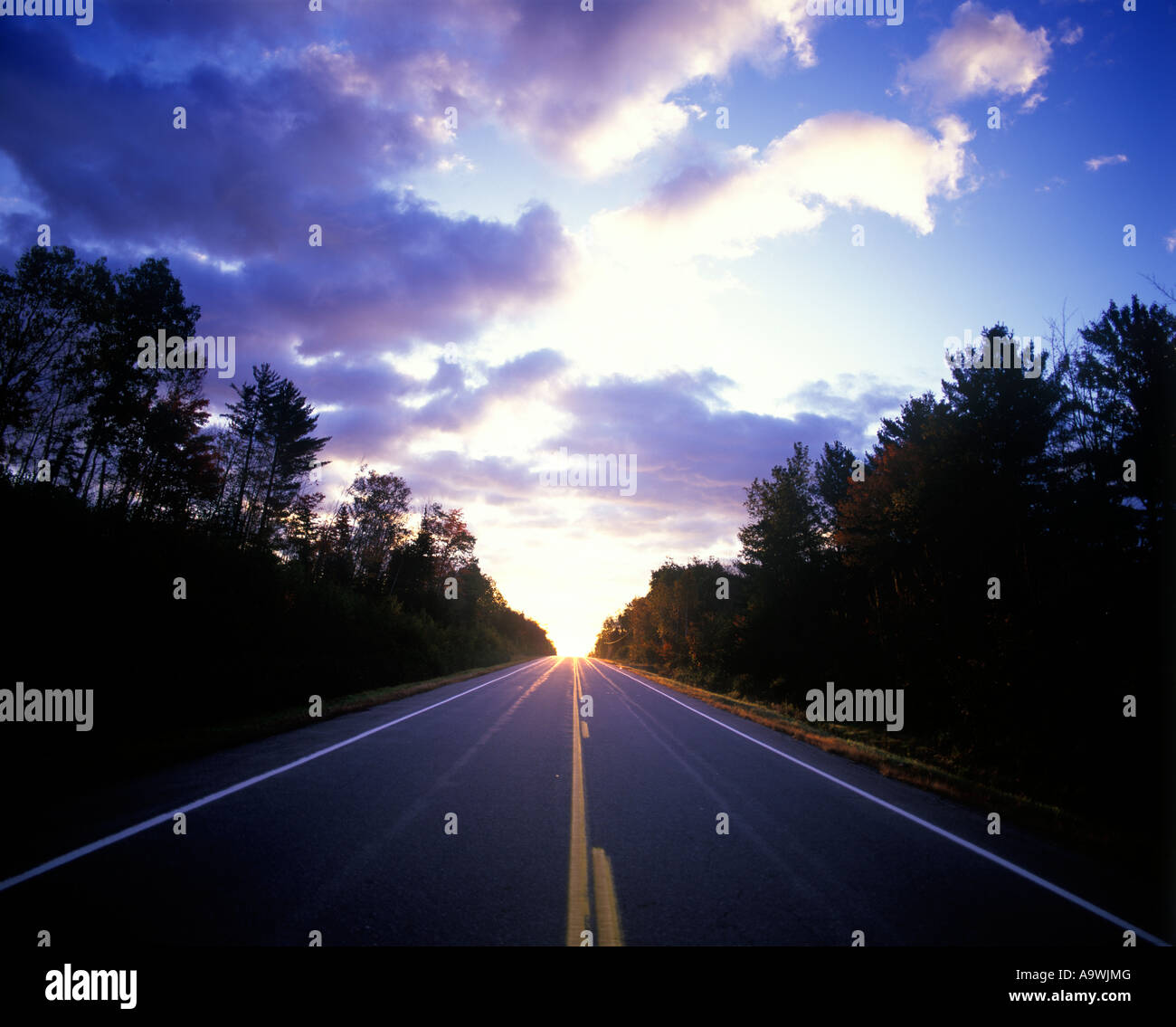 Usa road vanishing point hi-res stock photography and images - Alamy