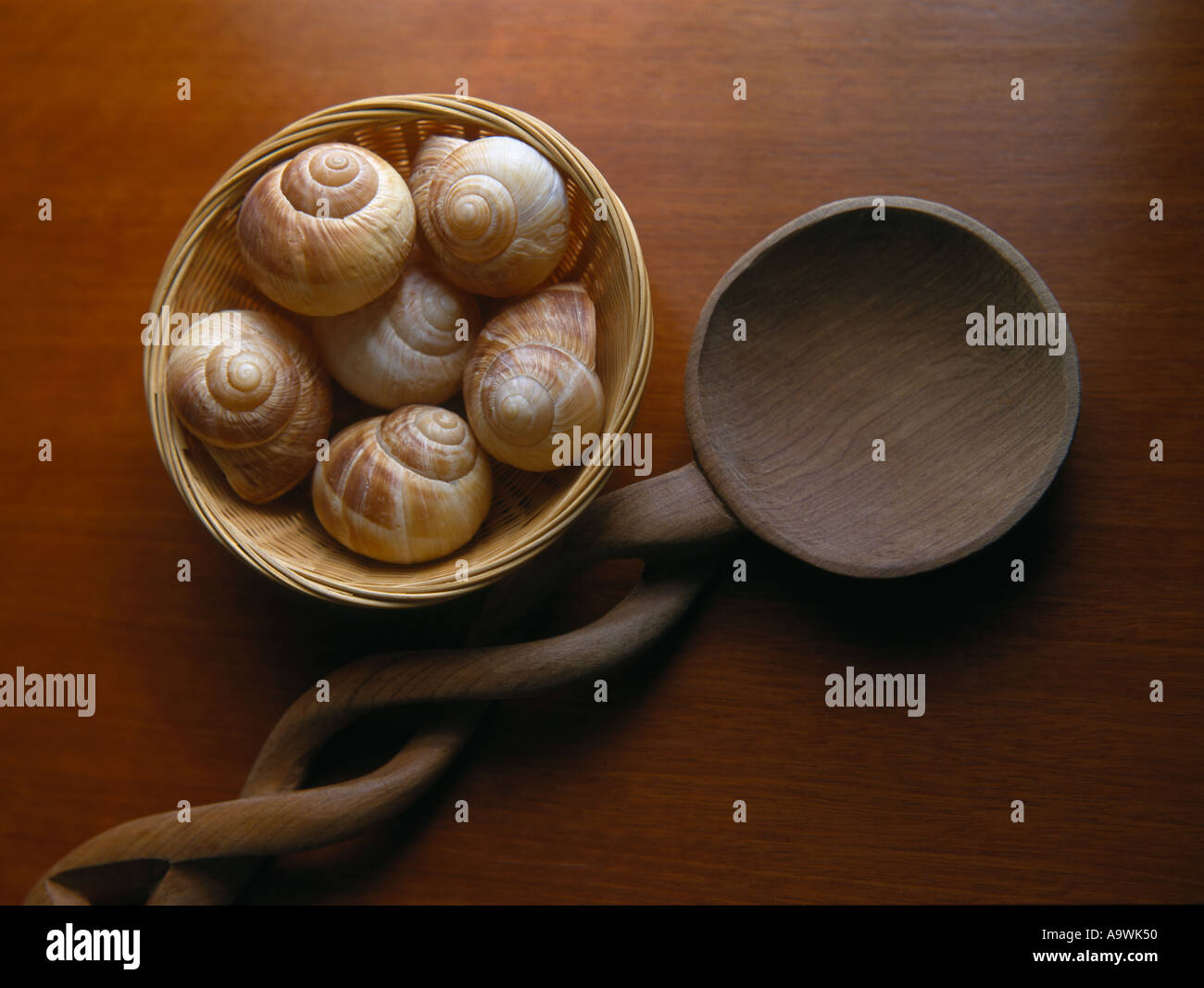Edible snails Helix sp Snail shells in basket still life Stock Photo ...