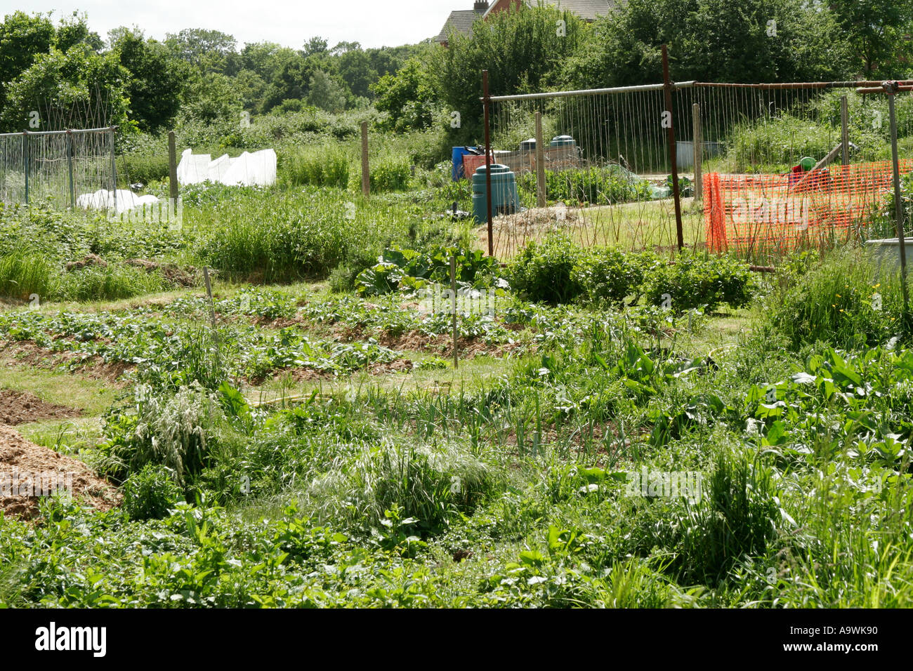 Suburban allotment hi-res stock photography and images - Alamy