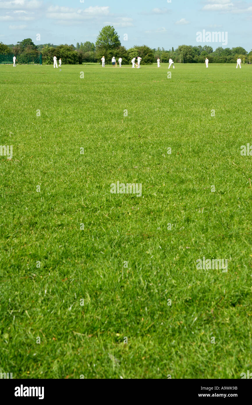 Landscape horizontal cricket ground hi-res stock photography and images ...