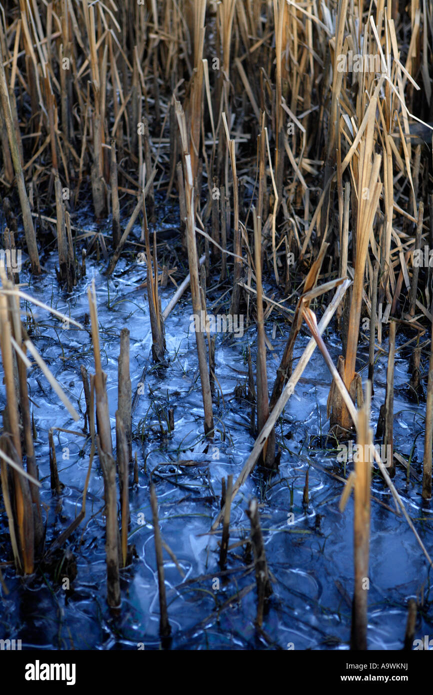 Pool darren hi-res stock photography and images - Alamy