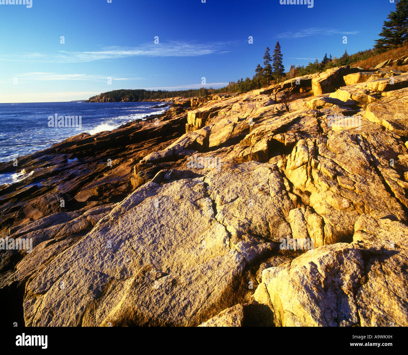 OTTER CLIFFS MONUMENT COVE ACADIA NATIONAL PARK MOUNT DESERT ISLAND ...