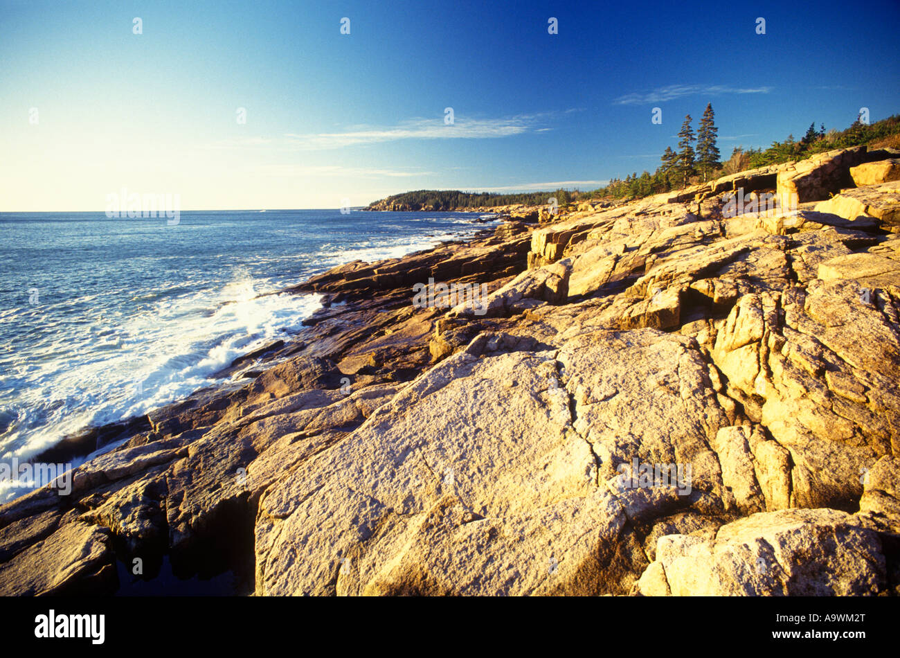 OTTER CLIFFS MONUMENT COVE ACADIA NATIONAL PARK MOUNT DESERT ISLAND ...