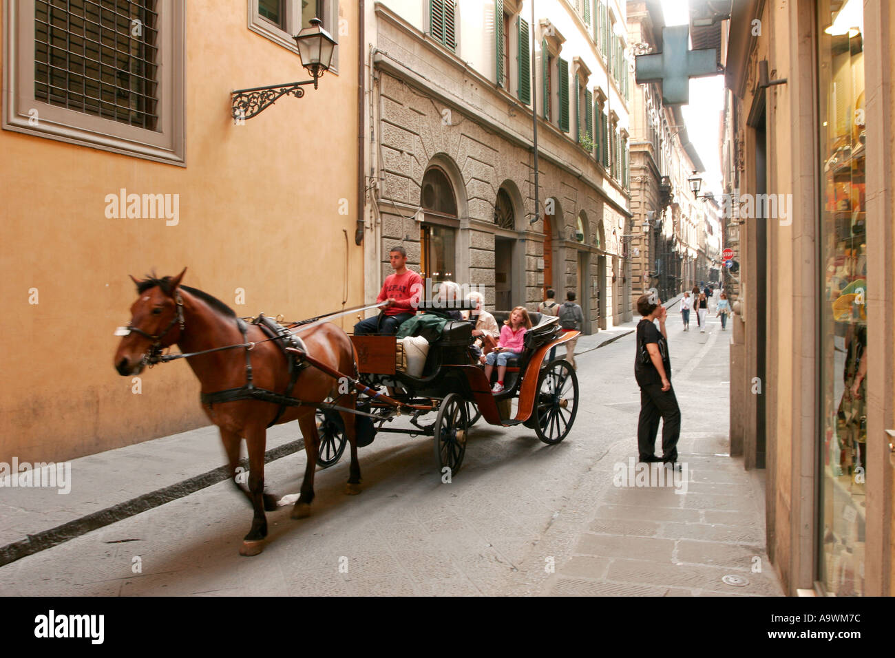 Medieval carriage horse icon hi-res stock photography and images - Alamy