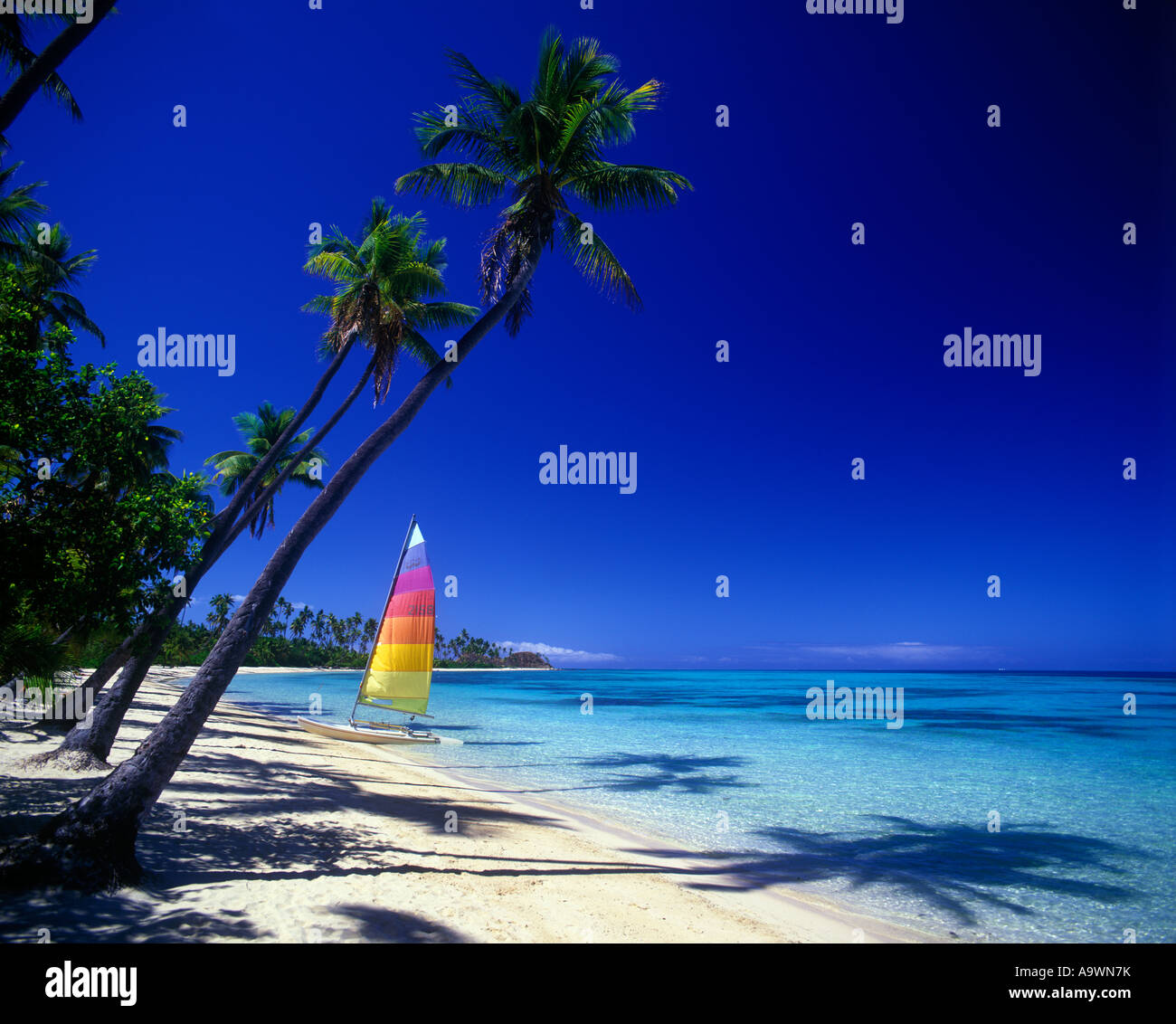 ROW OF PALM TREES WHITE SAND BEACH PLANTATION RESORT MOLOLO LAILAI ...