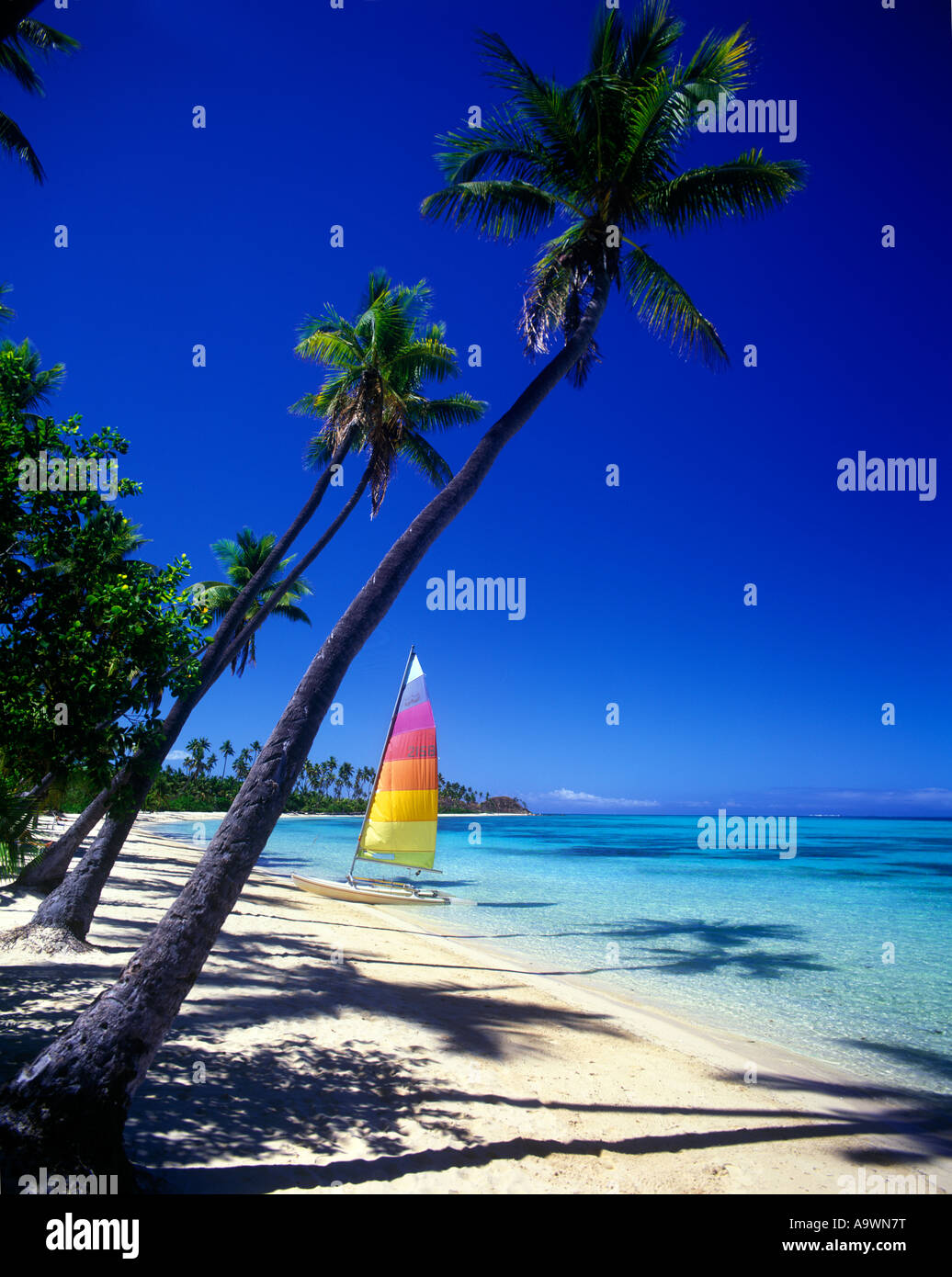 ROW OF PALM TREES WHITE SAND BEACH PLANTATION RESORT MOLOLO LAILAI ...