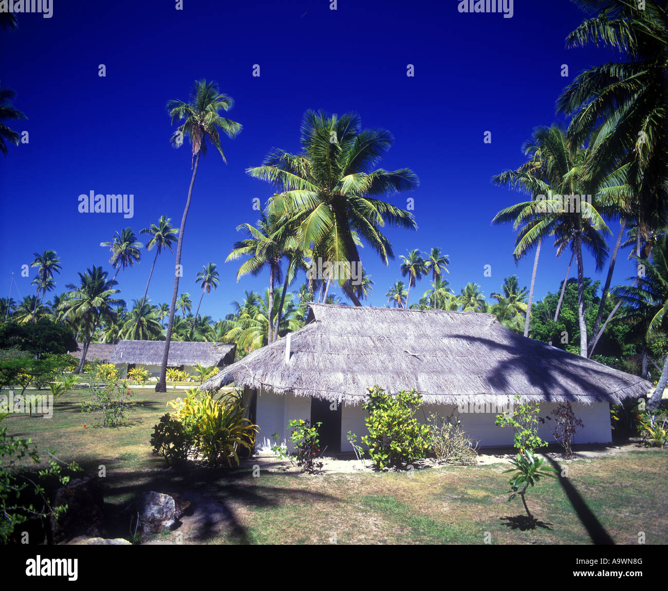 Palm trees plantation resort hi-res stock photography and images - Alamy