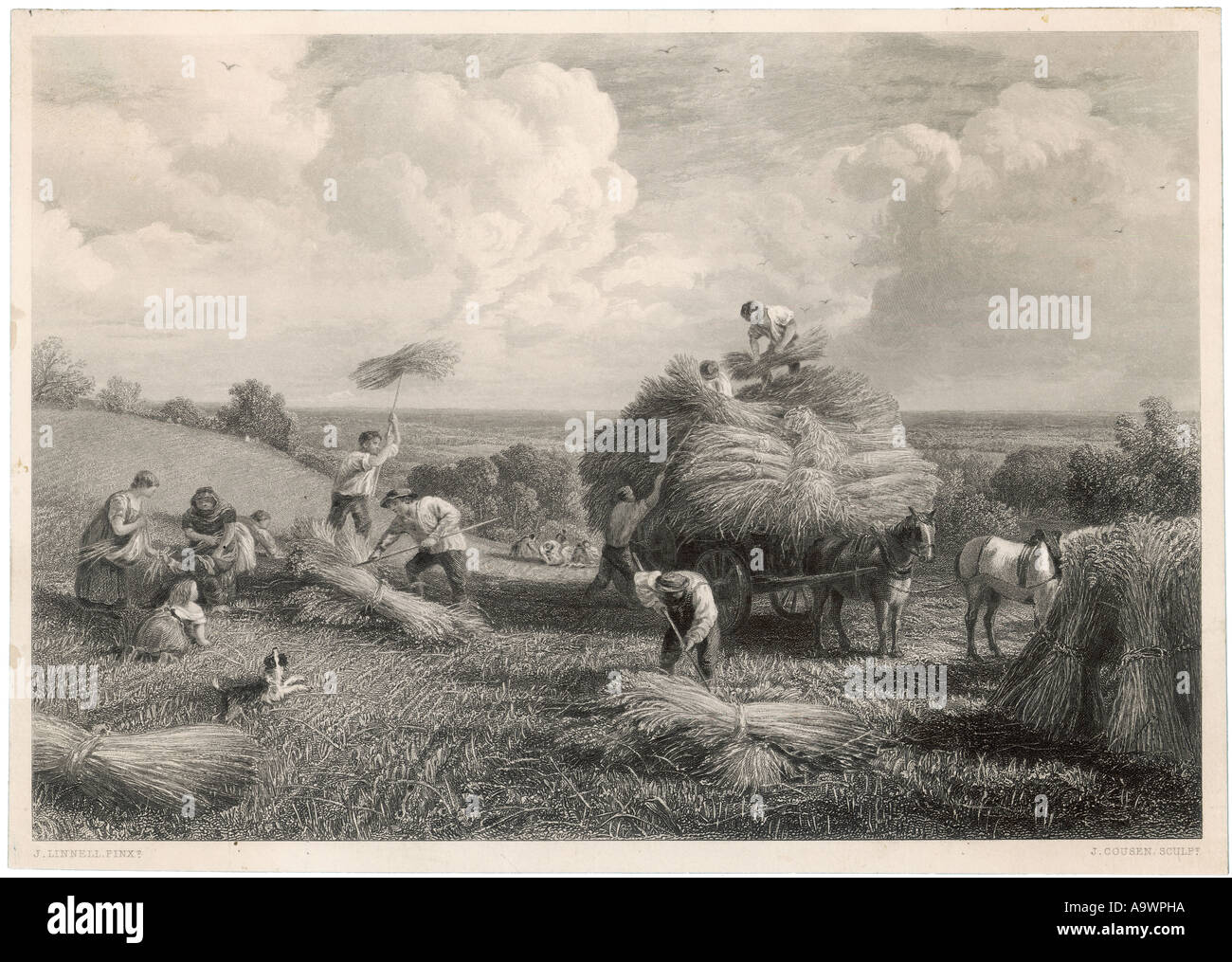 Hay Making Britain Stock Photo - Alamy