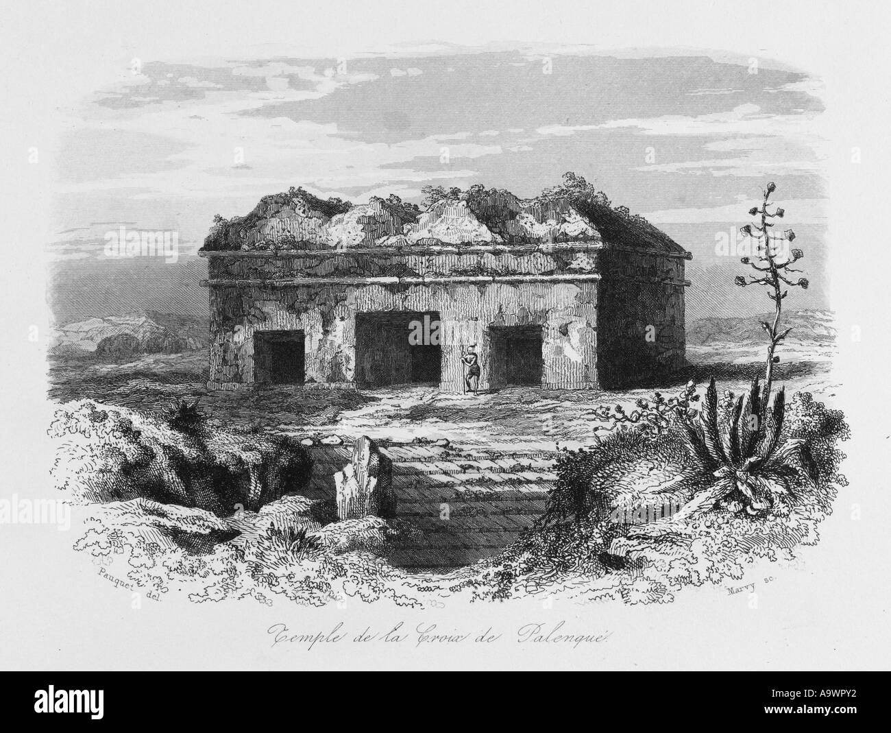 Palenque temple Black and White Stock Photos & Images - Alamy