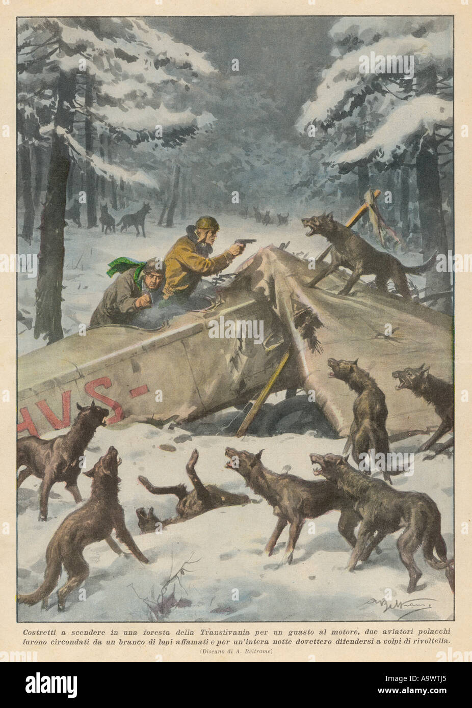 Wolves And People Stock Photo - Alamy