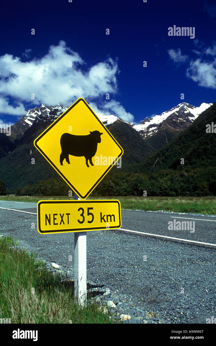 New zealand sign sheep hi-res stock photography and images - Alamy