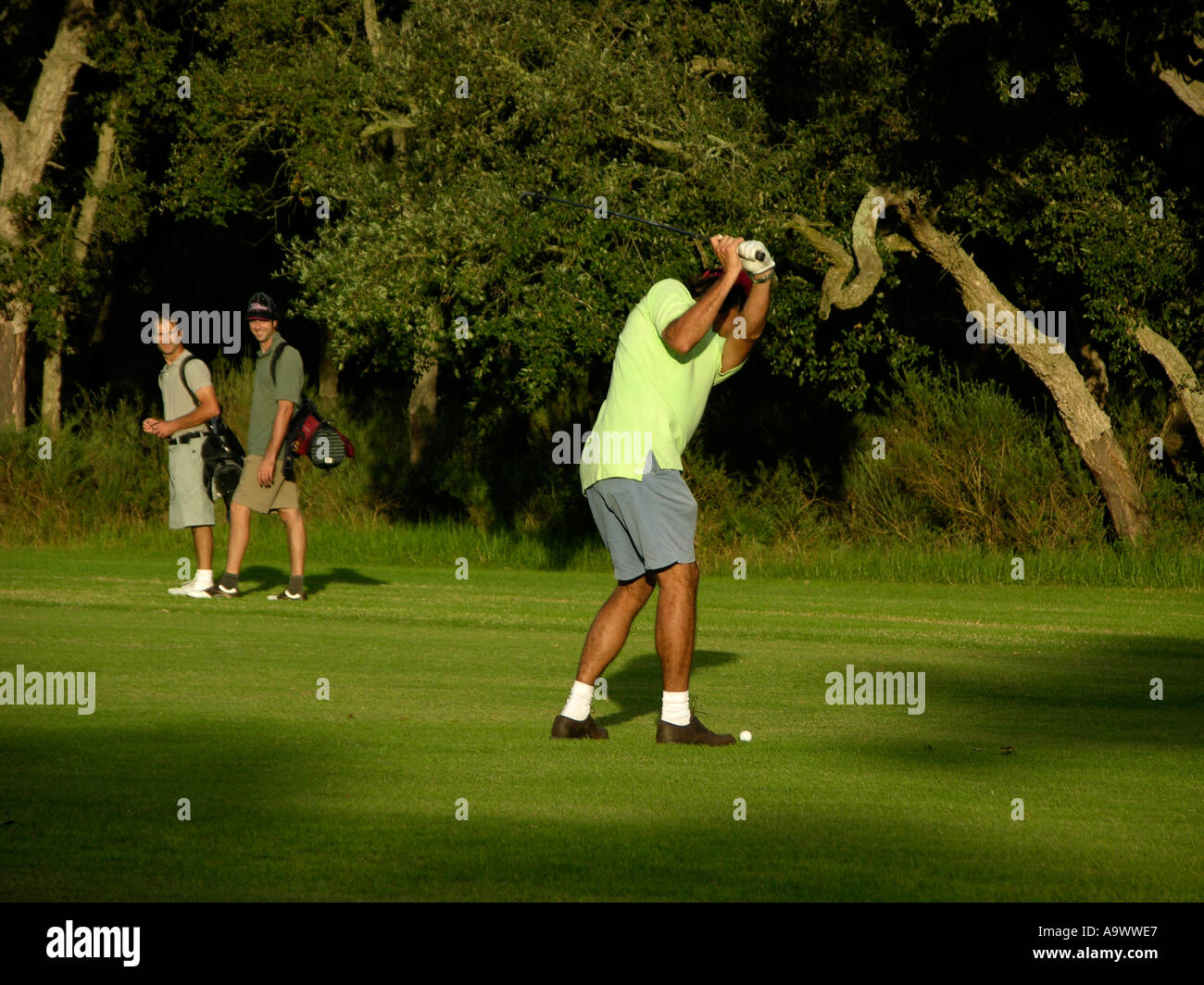 people playing golf Stock Photo - Alamy