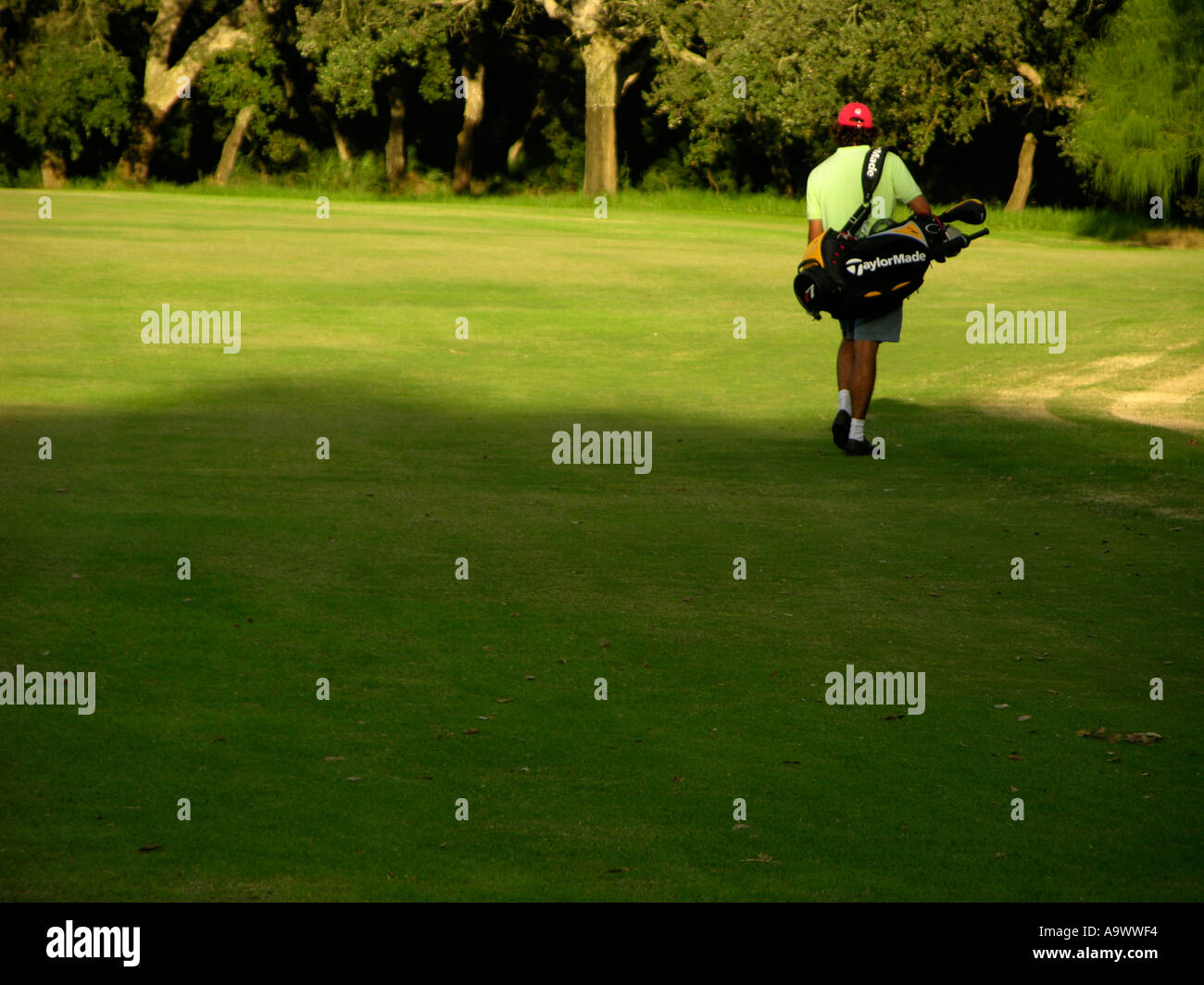 people playing golf Stock Photo - Alamy