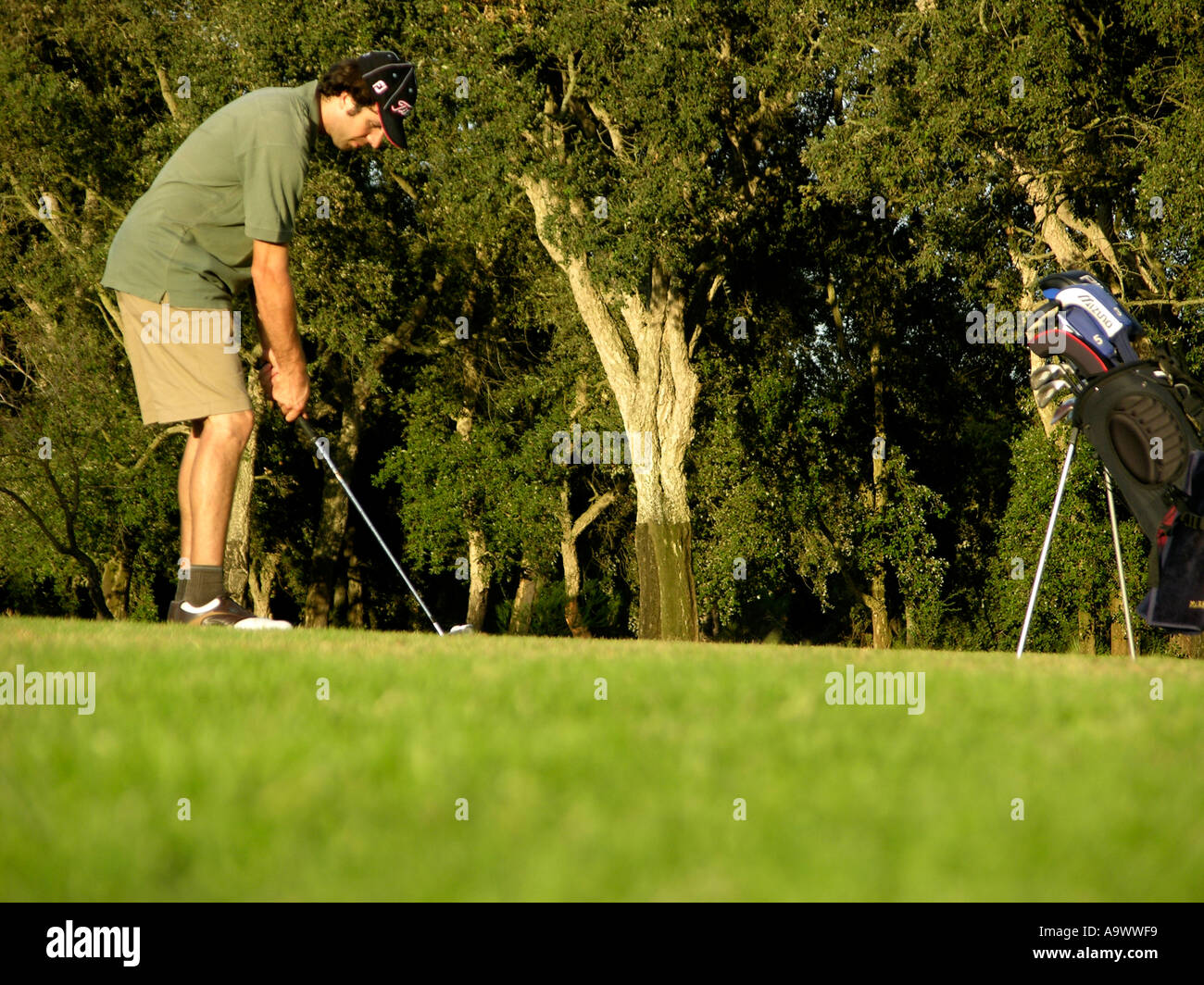 people playing golf Stock Photo - Alamy