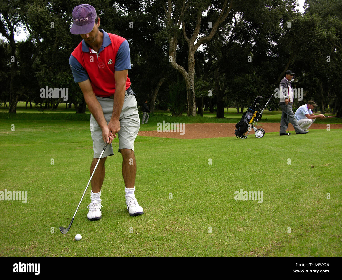 people playing golf Stock Photo - Alamy