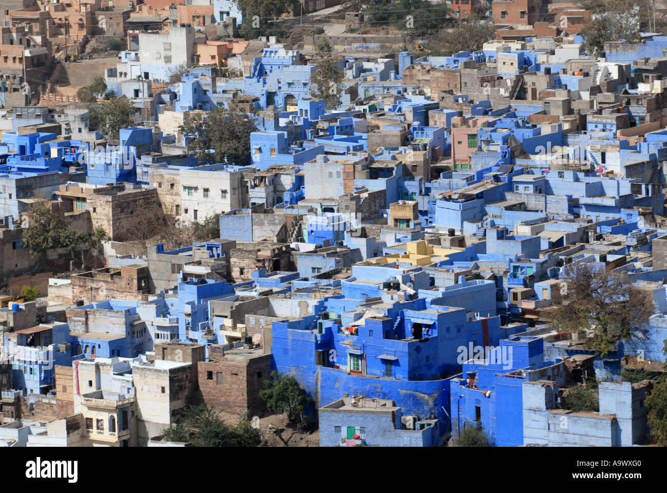 Jodhpur the blue city Rajasthan India Stock Photo - Alamy
