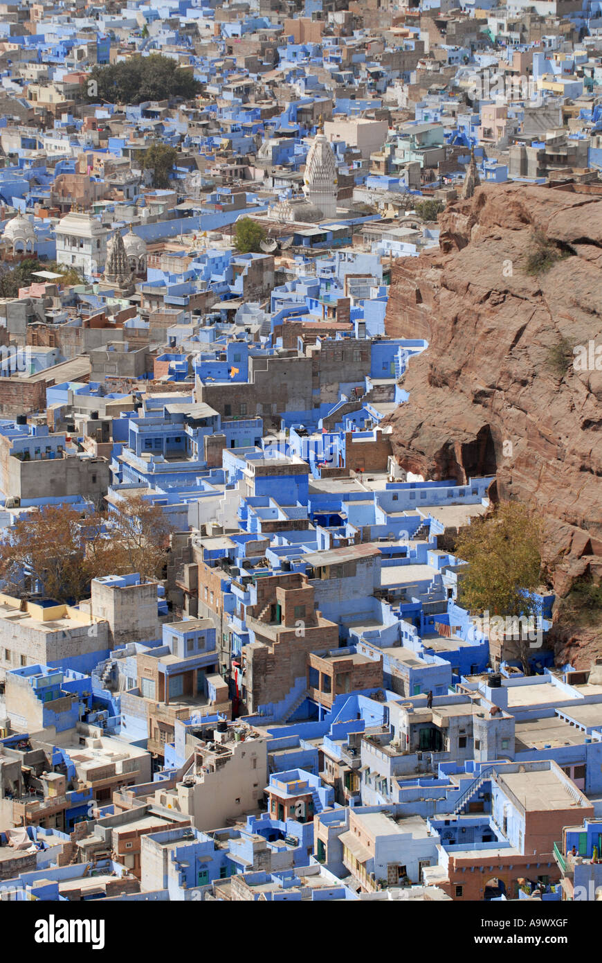 Jodhpur the blue city Rajasthan India Stock Photo - Alamy