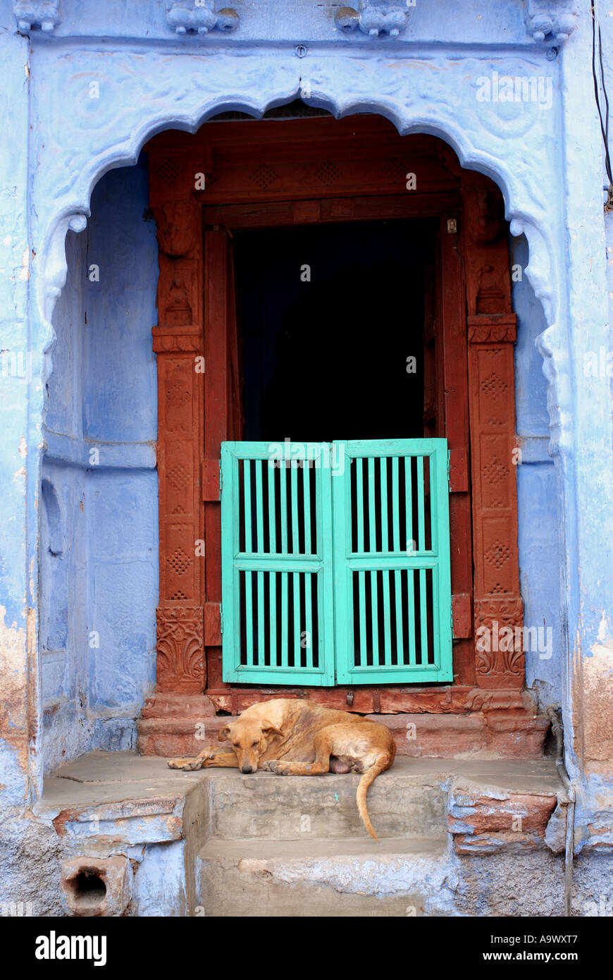 Jodhpur the blue city Rajasthan India Stock Photo - Alamy