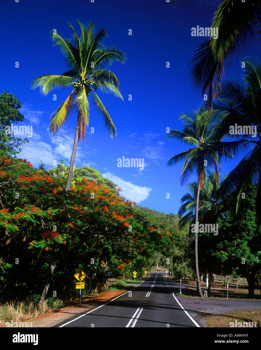 COOK HIGHWAY NORTH QUEENSLAND AUSTRALIA Stock Photo - Alamy