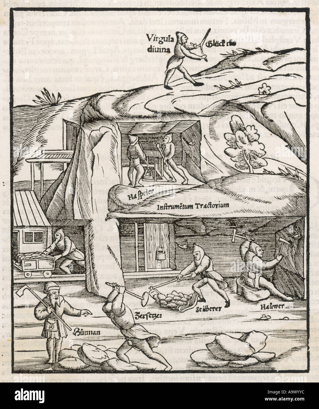 Dowsers hi-res stock photography and images - Alamy