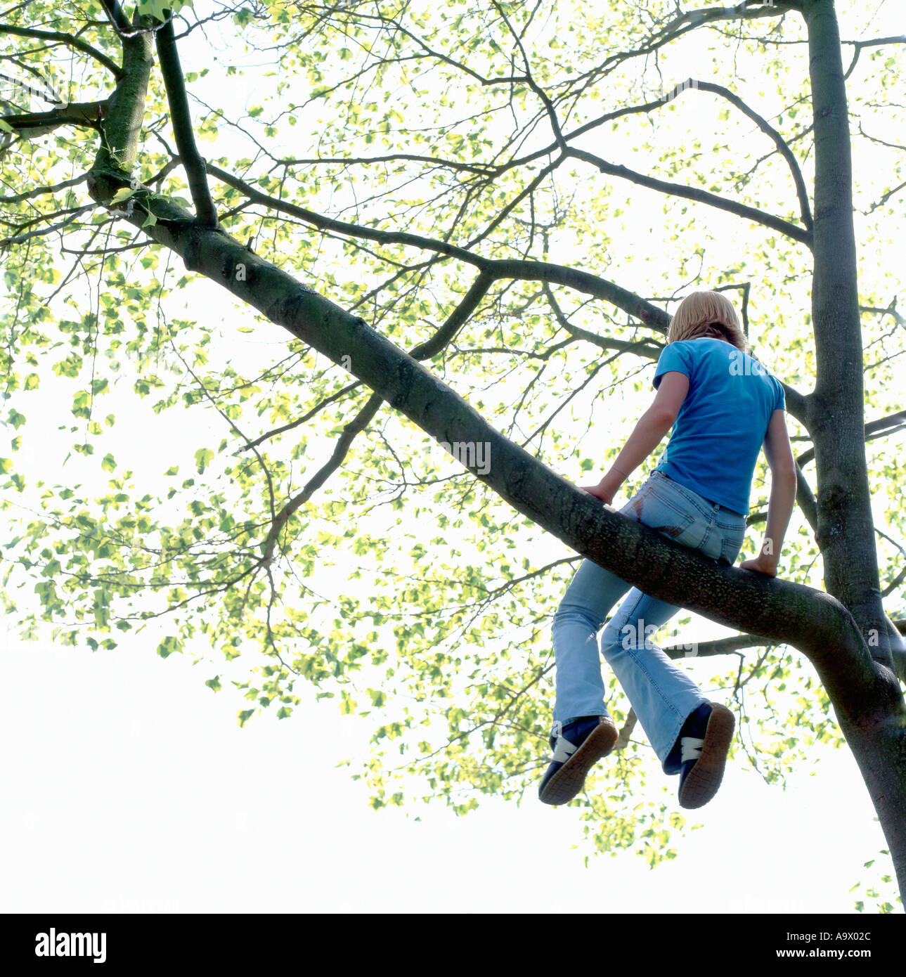 Rear back view of teenager teen girl boy child young woman sitting high ...