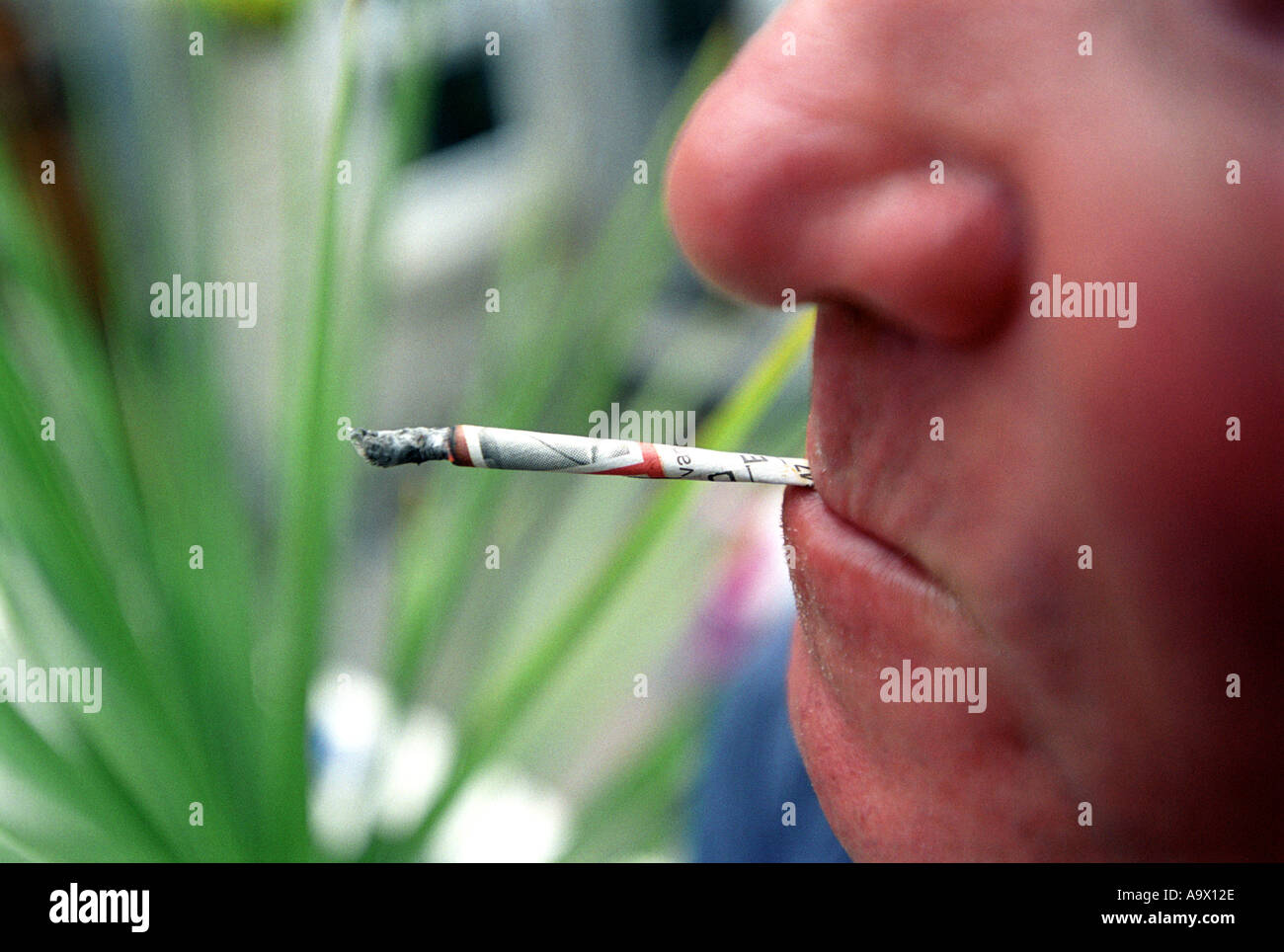 Bidi (indian cigarette) hi-res stock photography and images - Alamy
