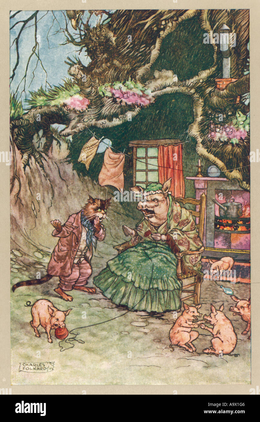 Go cat hi-res stock photography and images - Alamy