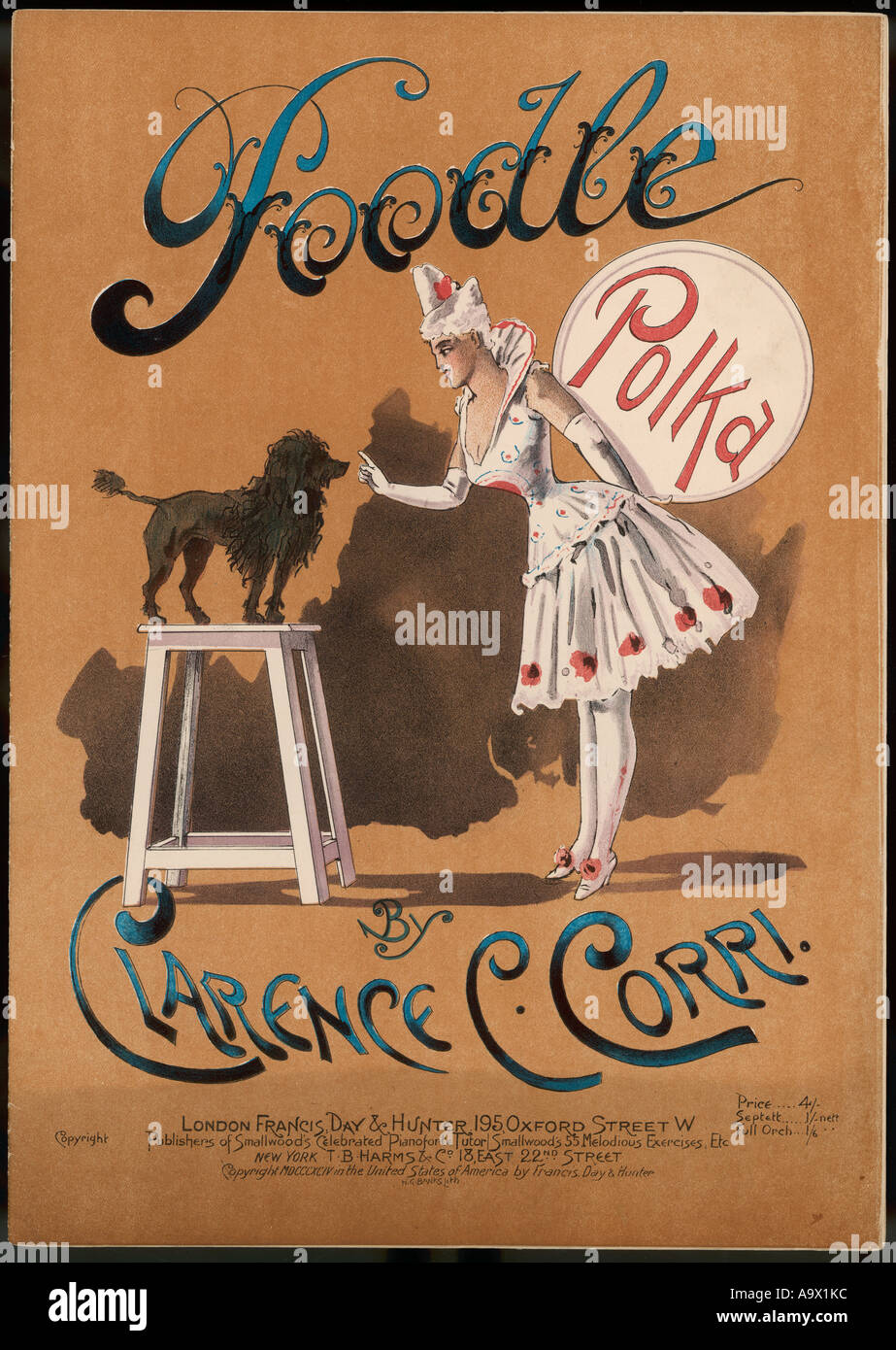 Poodle circus hi-res stock photography and images - Alamy