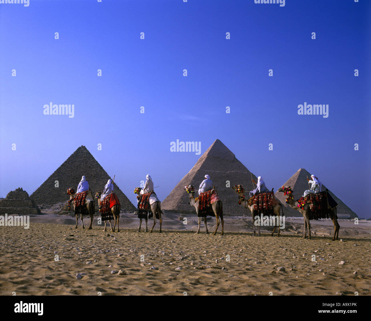 CAMEL CARAVAN GREAT PYRAMIDS GIZA RUINS CAIRO EGYPT Stock Photo - Alamy