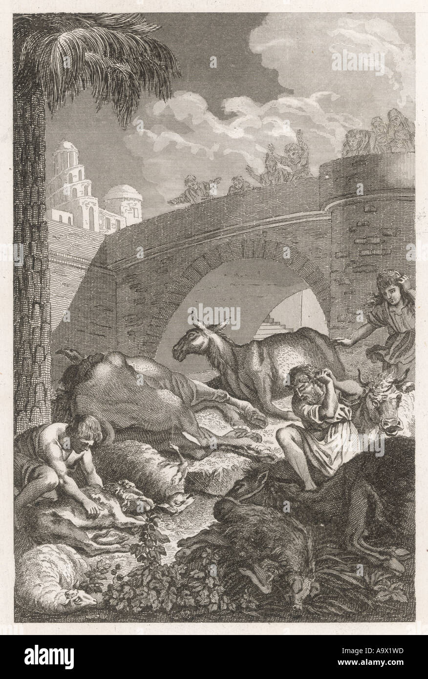 Bible plague murrain hi-res stock photography and images - Alamy