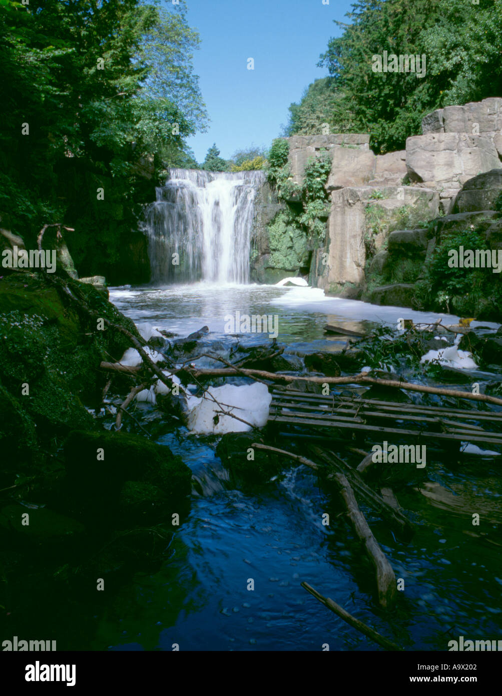 River pollution in a city centre park, the Ouseburn in Jesmond Dene ...