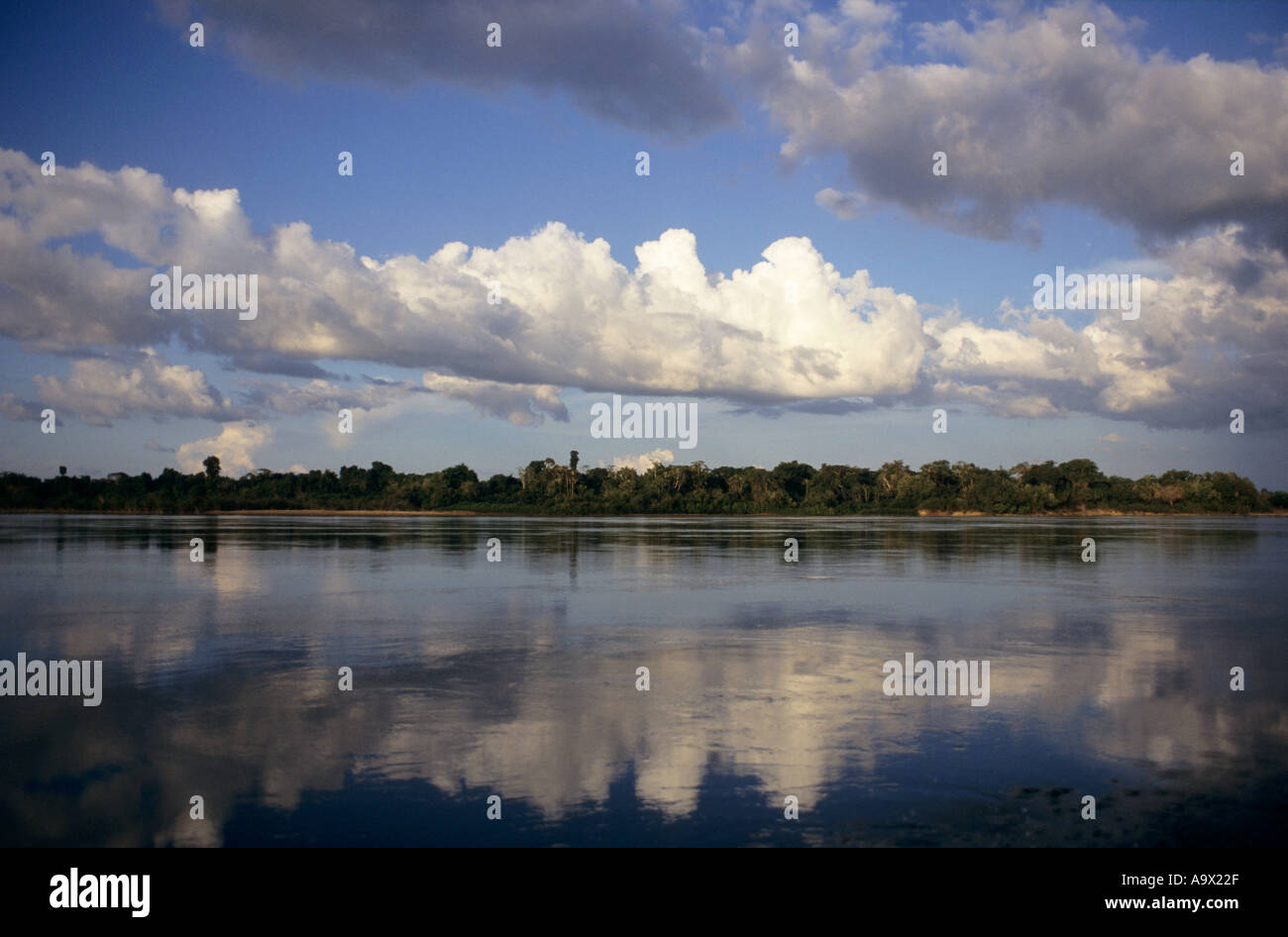 Xingu river, Brazil. Forested river bank with puffy white clouds Stock ...