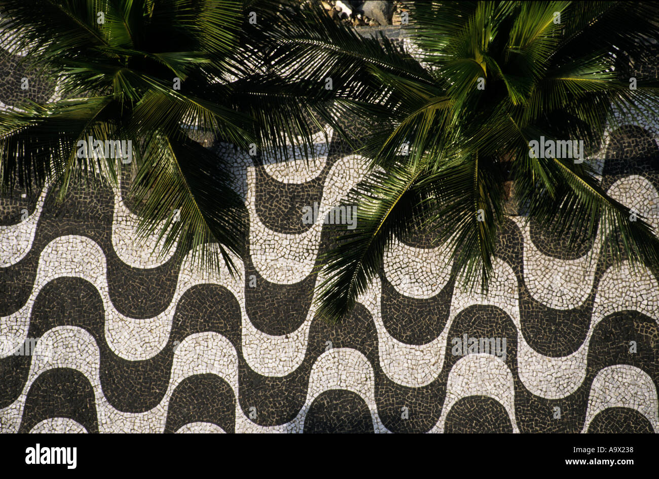 Rio de Janeiro, Brazil. Pavement by Copacabana beach with plam trees ...