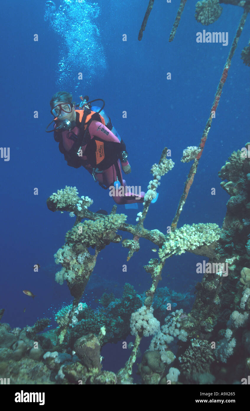 Babs Jackson diving on the Umbria Wreck Port Sudan Wingate Reefs ...